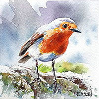 Cours de dessin peinture et aquarelle | Rouge gorge | Celine Dodeman